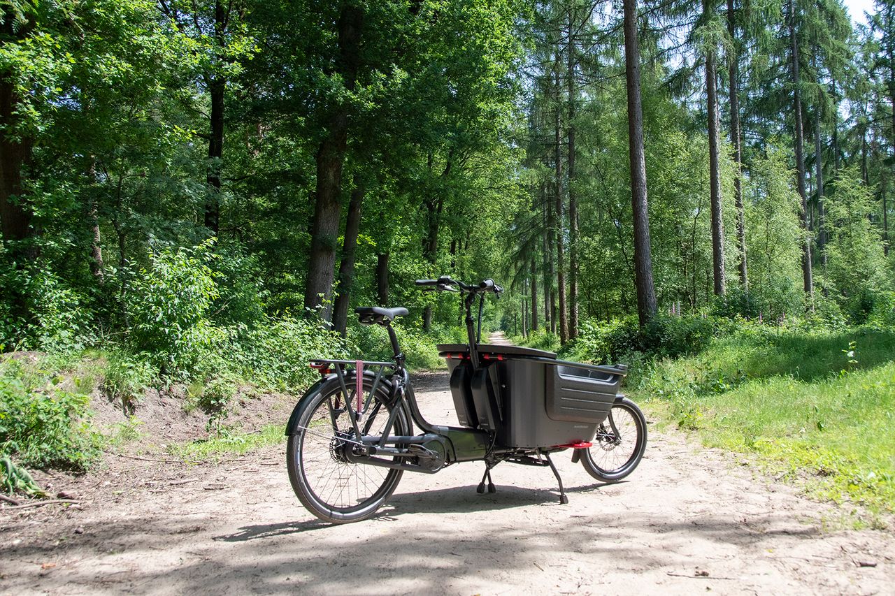 Batavus Fier 2 2023 - Fietsvoordeelshop.nl