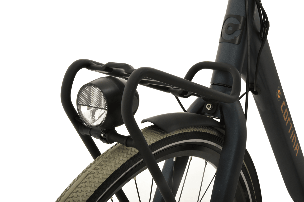 Cortina E-Common Family Active Plus DB7 2024 - Fietsvoordeelshop.nl